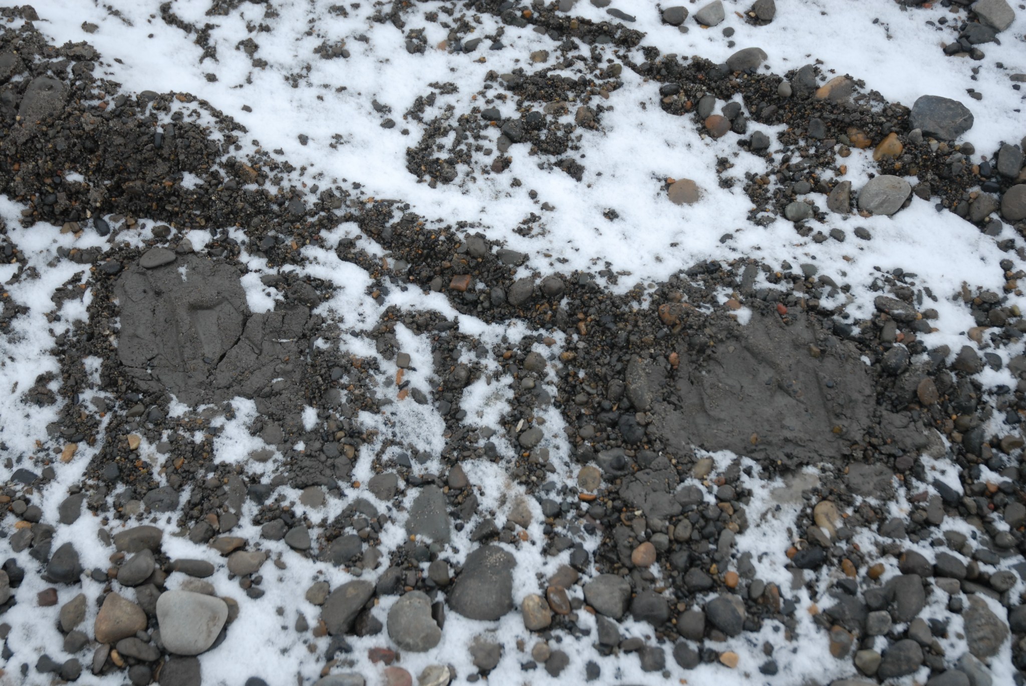 Out of Ice and Time – Arctic archaeology as seen from Utqiaġvik (Barrow ...